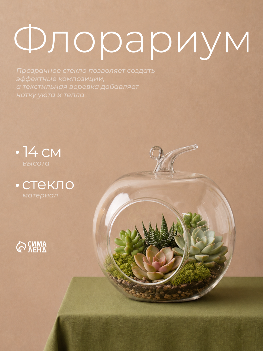 Флорариум Сима-Ленд "Яблоко", 12 см x 12см x 14см, стекло, прозрачная, без крышки