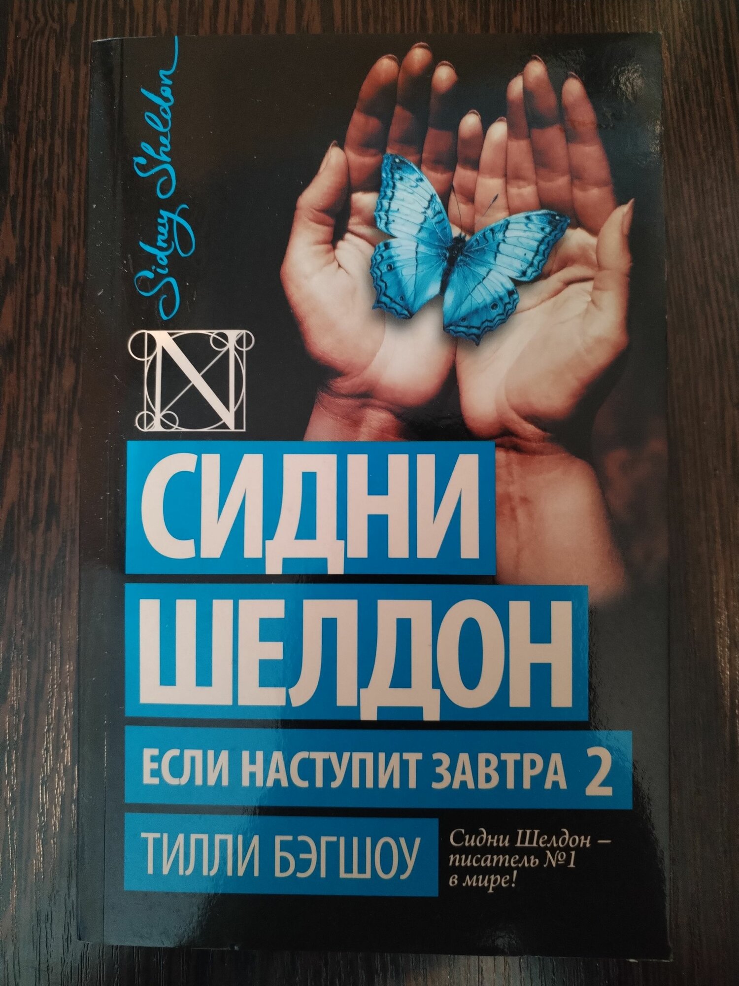 Сидни Шелдон. Если наступит завтра 2
