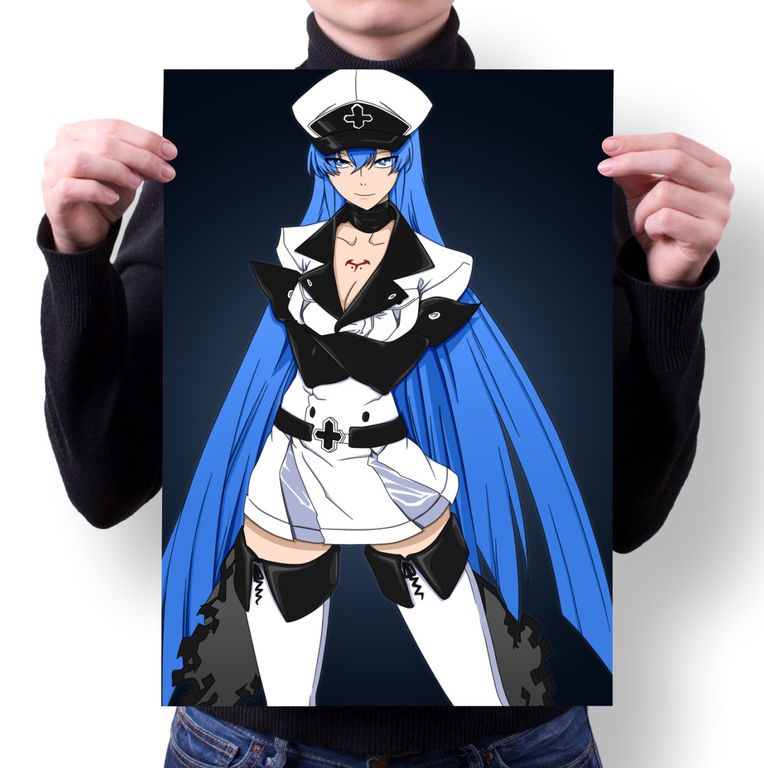 Плакат Убийца Акамэ, Akame ga Kill №5, А4