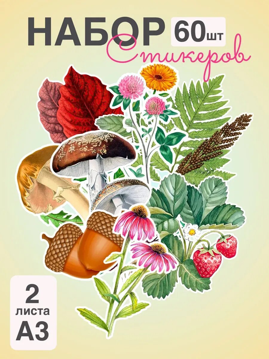 Стикеры грибы, листья, травы, наклейки для гербария