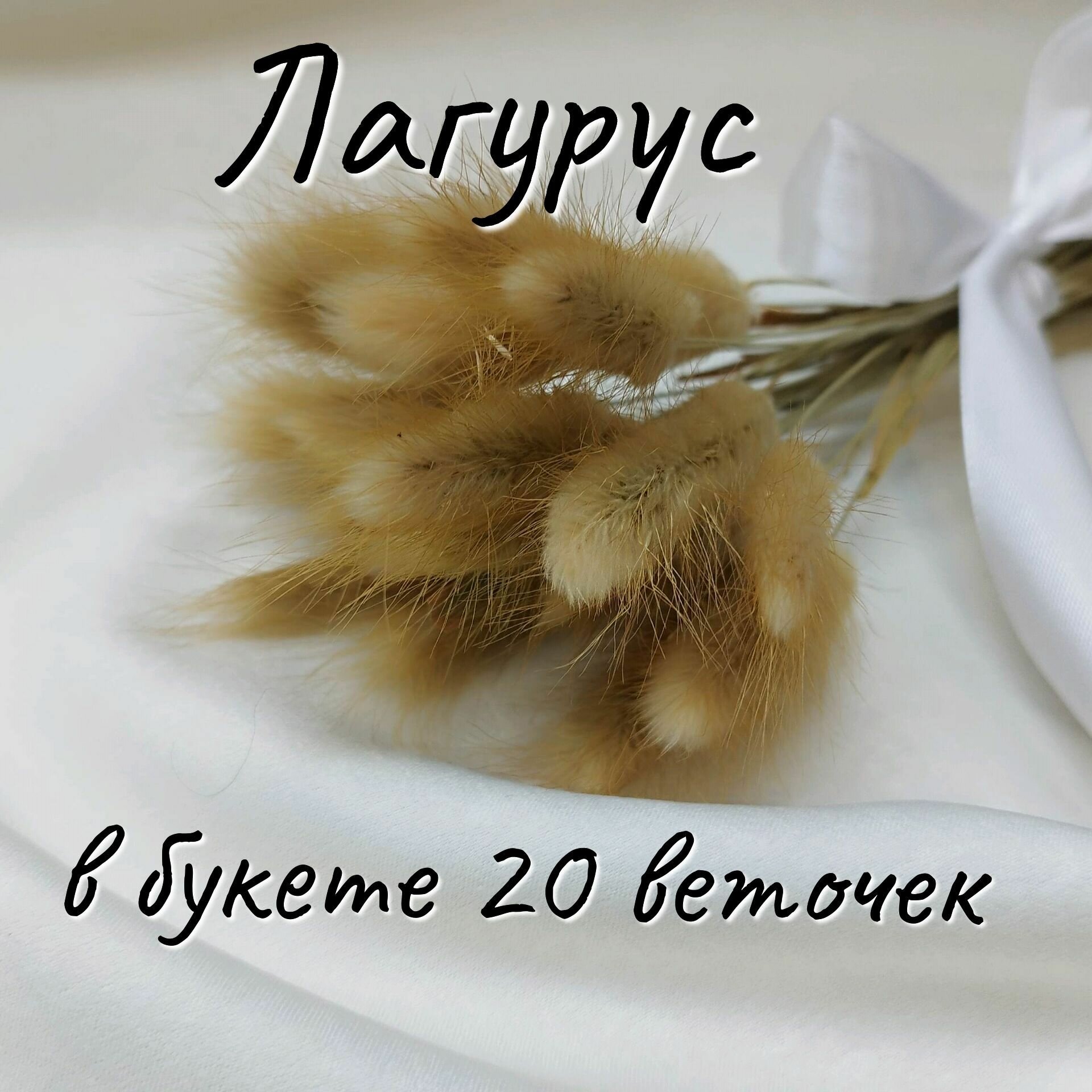 Лагурус букет из сухоцветов