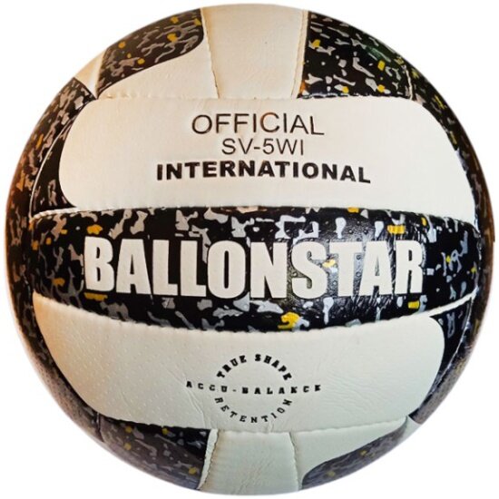 Sprinter Волейбольный мяч 00908