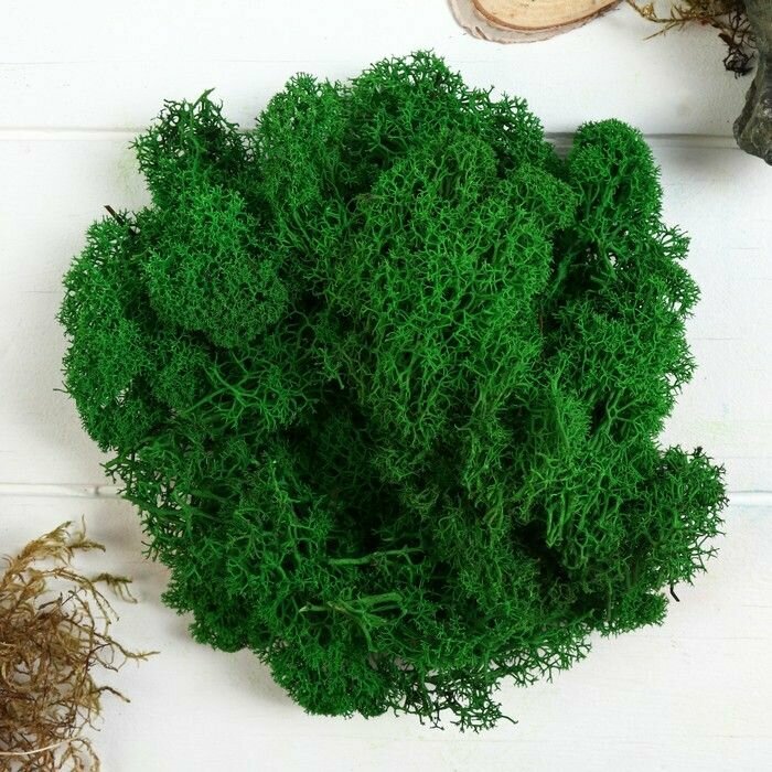 Мох стабилизированный AQUA STORY "Зеленый" 45 гр +-5 гр, в пакете