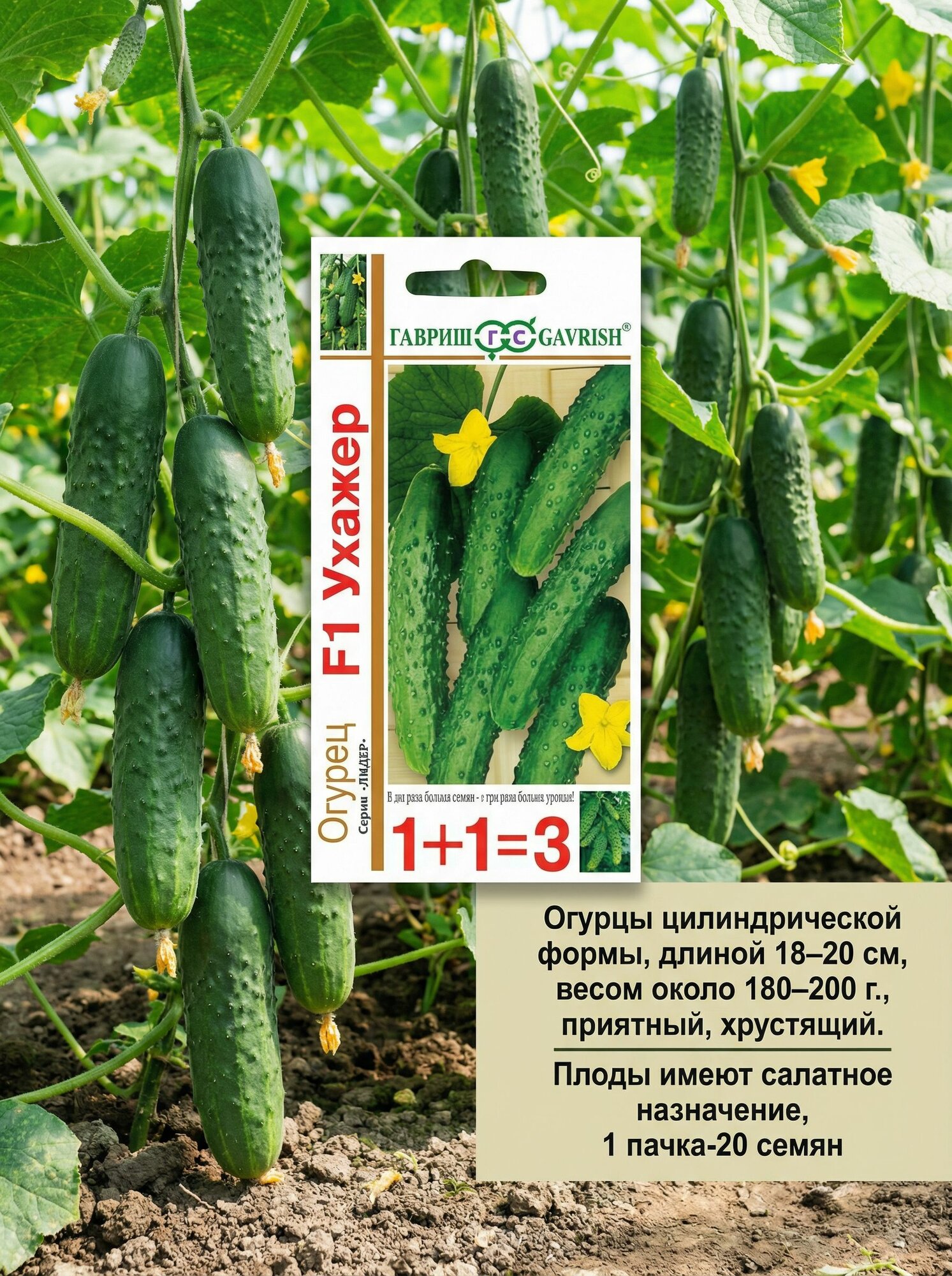 Огурец "Ухажёр" F1 20 шт