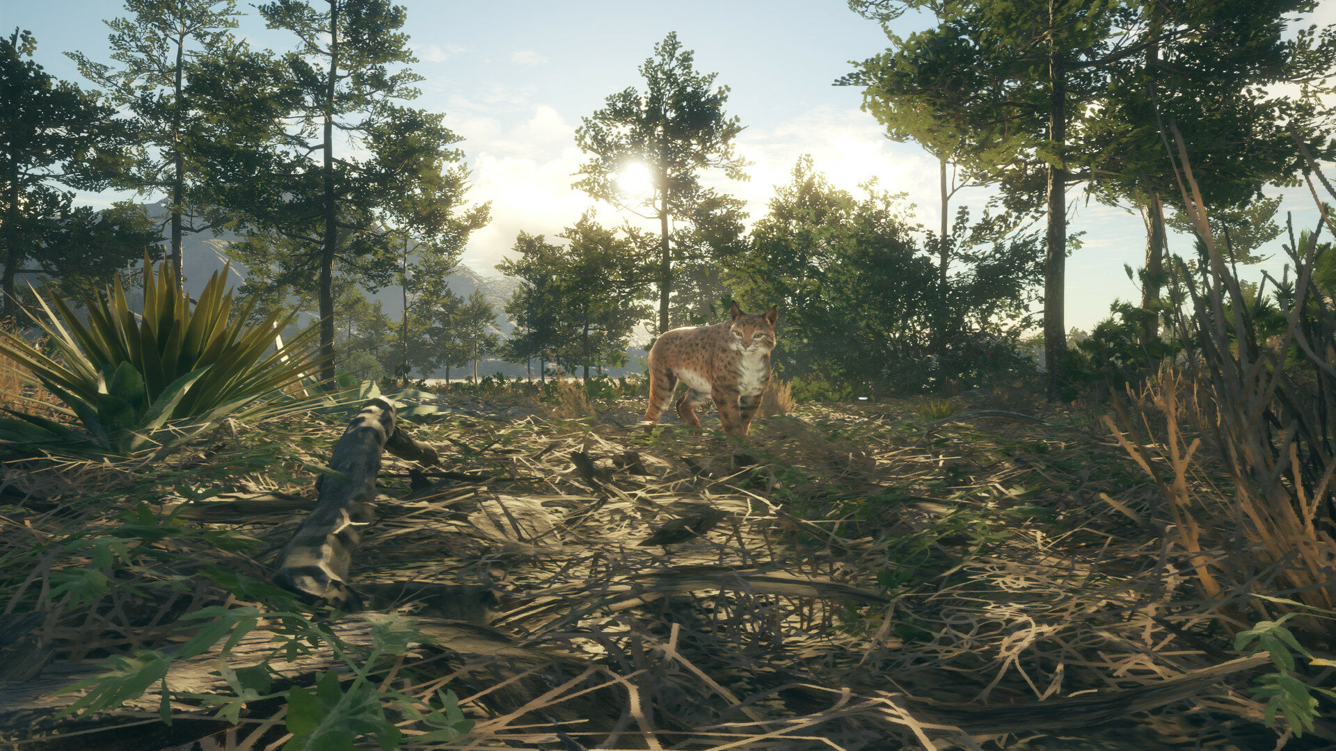 TheHunter: Call of the Wild Starter Набор Steam Ключ • Активация Steam
