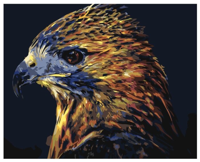 Пестрый орел Раскраска картина по номерам на холсте