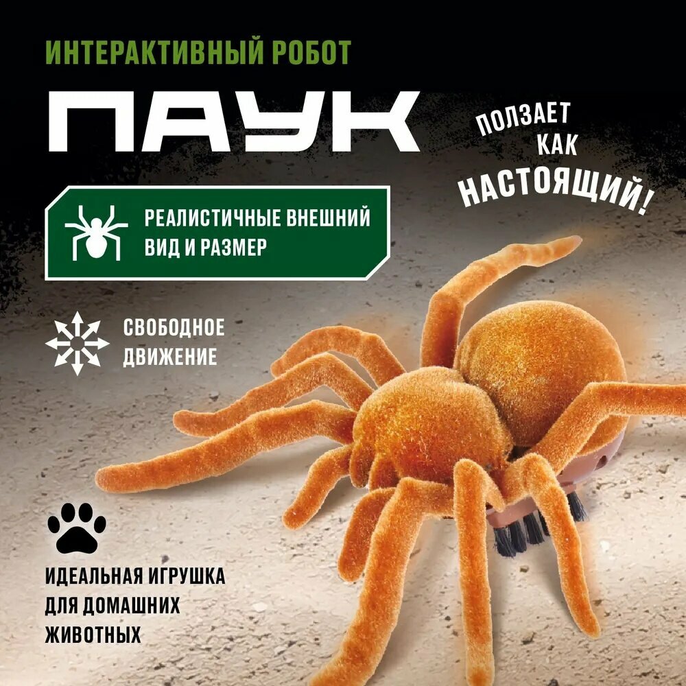 Робот Паук, ползает как настоящий