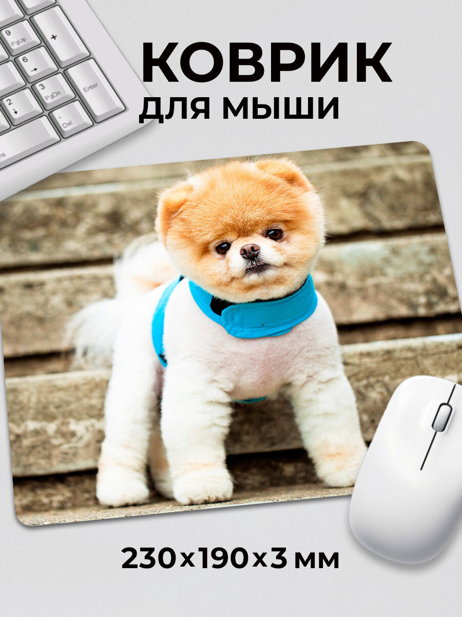 Коврик для мышки Собака Померанский шпиц