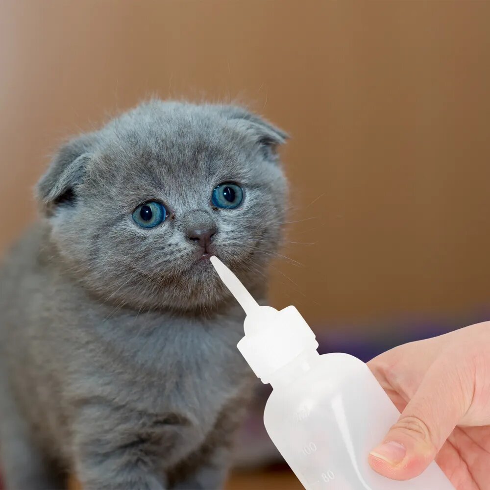 Бутылочки Для Кормления Ягнят, Силиконовые, Удобные, Для Домашнего Использования, 4 Шт