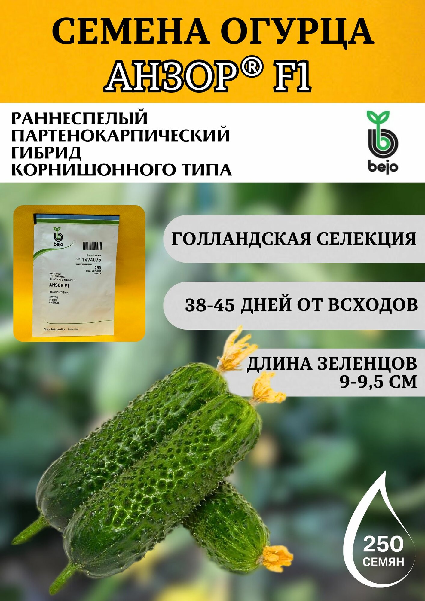 Семена огурца Анзор F1 250 штук (дата изг.07/2020), профессиональные семена