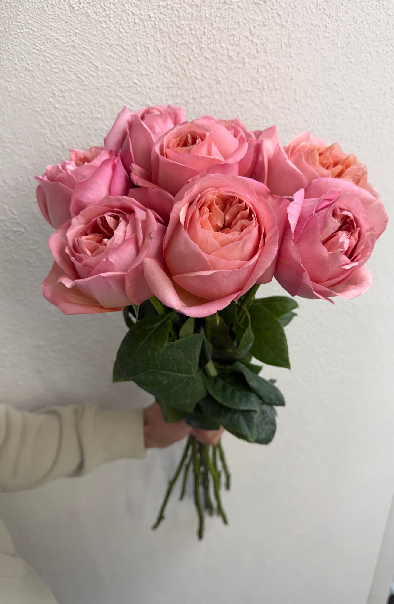 Букет "Лёгкость чувств", пионовидная роза, 9 роз, розовый, караловый