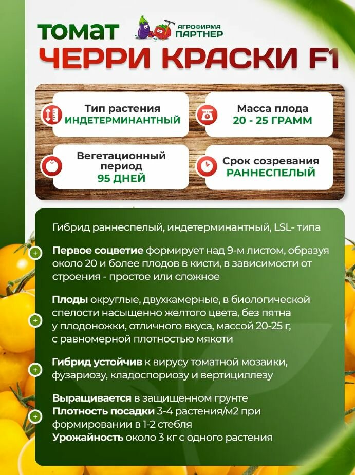 Семена томат Краски — фото 1