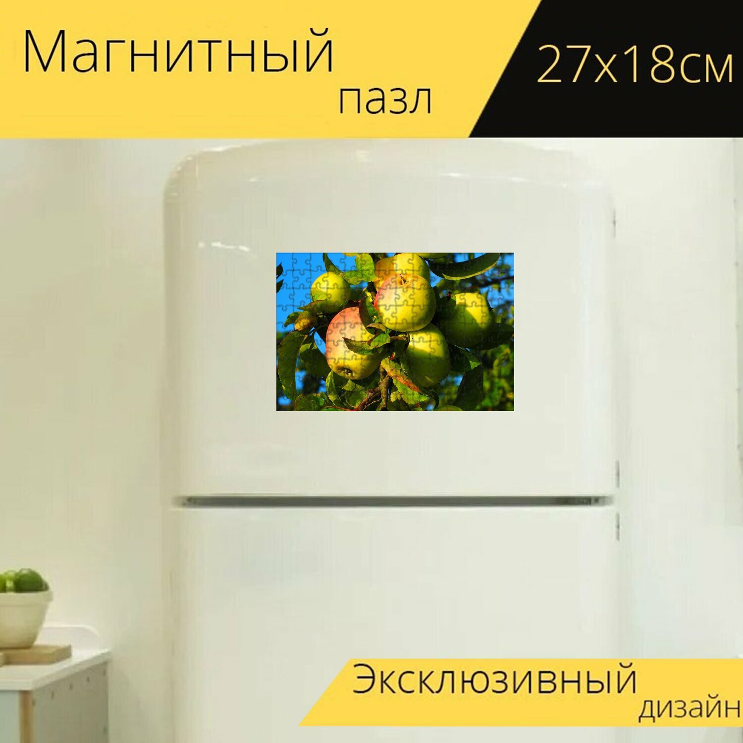 Магнитный пазл "Яблоки, яблоня, фрукты" на холодильник 27 x 18 см.