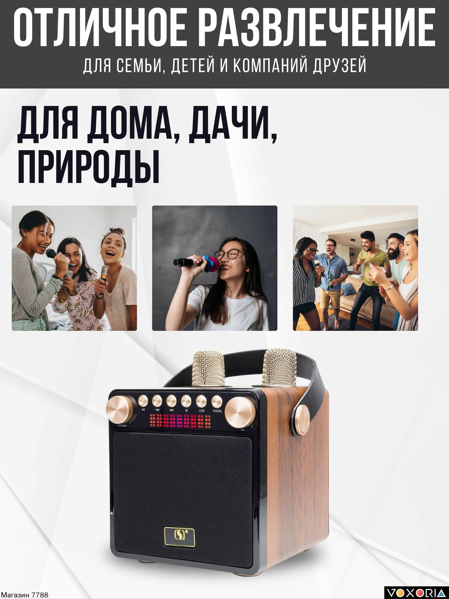 Караоке-система — фото 1