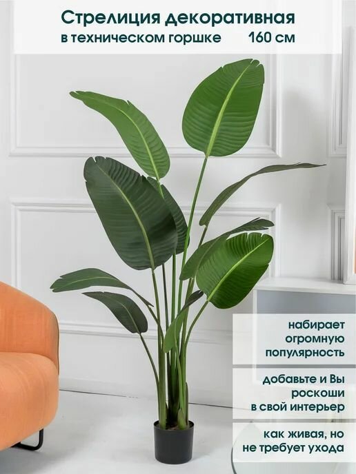 Декоративное дерево для интерьера стрелиция 160 см Alberi