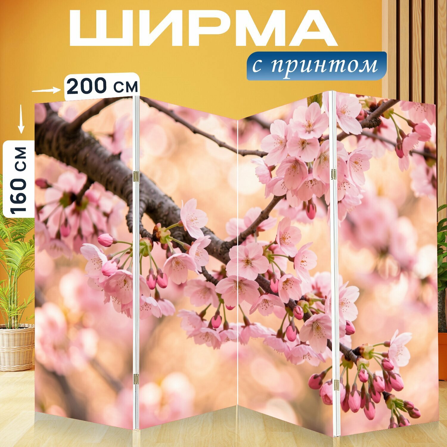 Ширма "Розовые цветы сакуры на ветвях. Нежные весенние соцветия на древесных побегах в мягких розовых и." перегородка для зонирования комнаты с принтом 200x160 см. на холсте