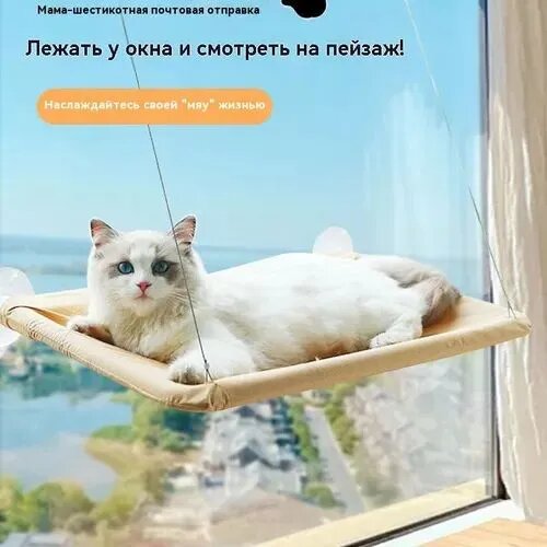 Гамак для животных, Нейлон, Металл, Силикон, Полипропилен, для кошек, Подвесной, На окно, Прямоугольная, уютны