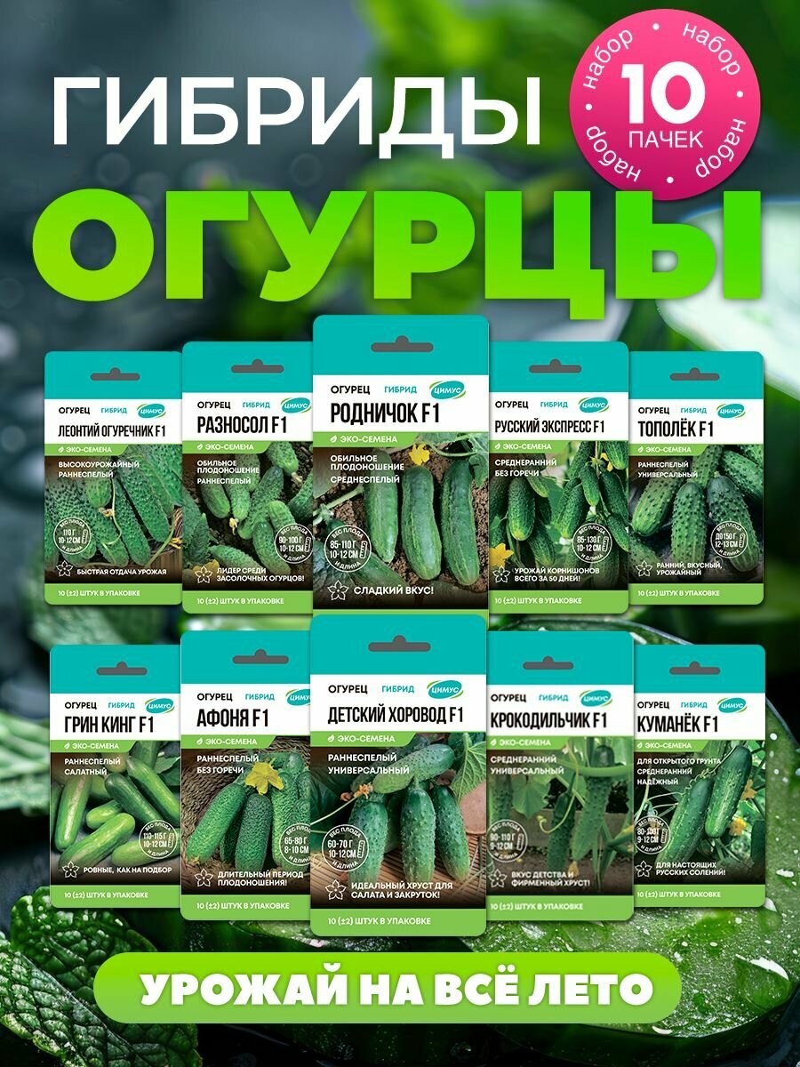Набор семян огурцов гибриды раннеспелые