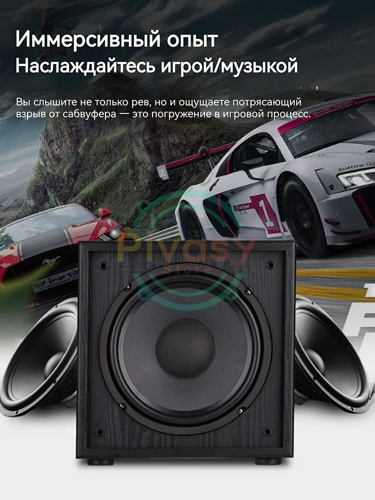 Активный сабвуфер SW-100, 10 дюймов, 160 Вт, 45-160 Гц, подходит для домашнего кинотеатра в гостиной