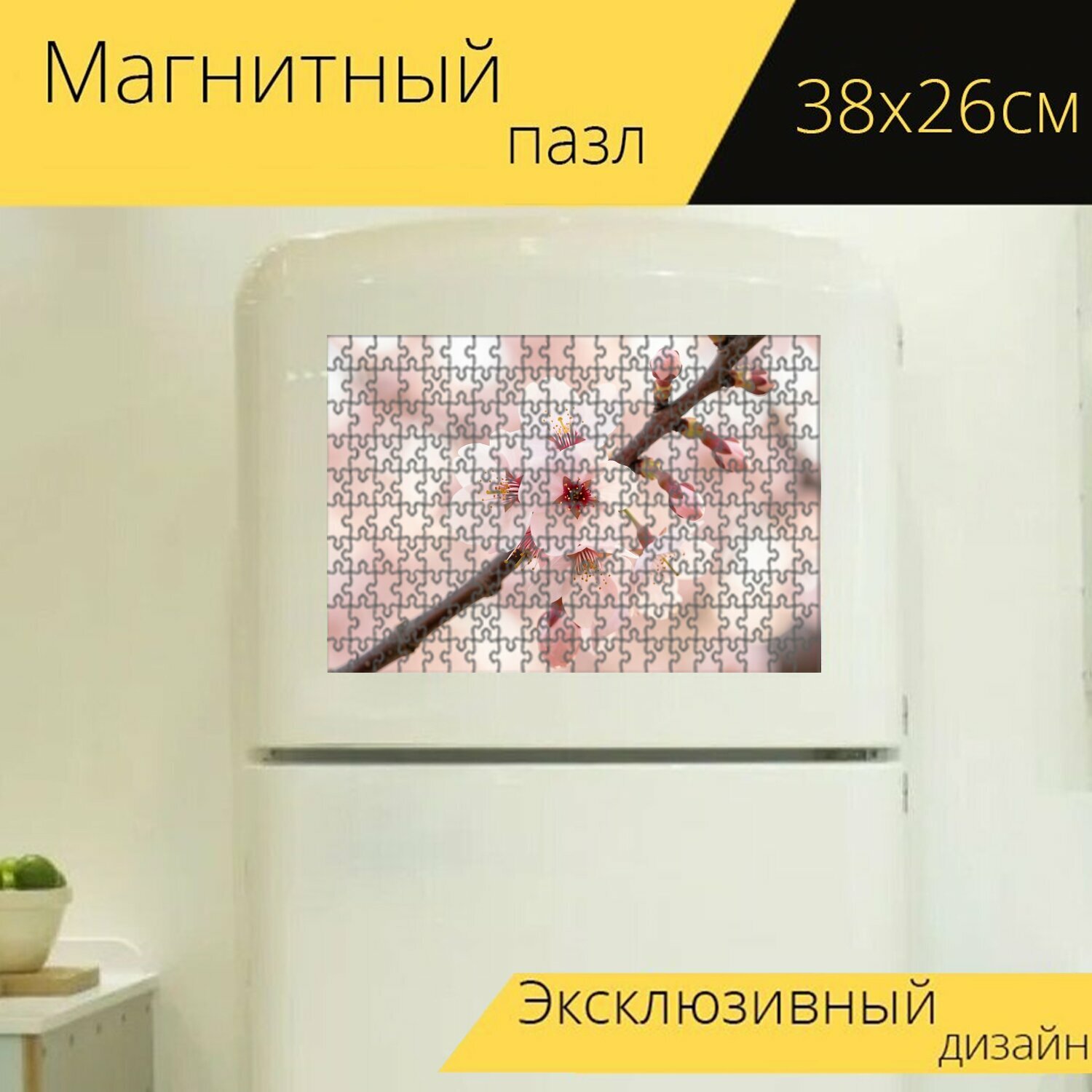 Магнитный пазл "Ветка сакуры с нежными цветами. Крупный план весеннего цветения японской вишни: пастельно-розовые лепестки, бутоны на тонкой ветви, мягкое." для интерьера, 38х26 см.