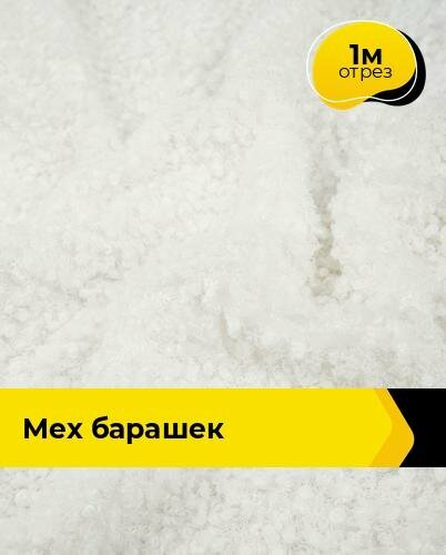 Ткань для шитья и рукоделия Мех "Барашек", отрез 1 м * 165 см, цвет белый
