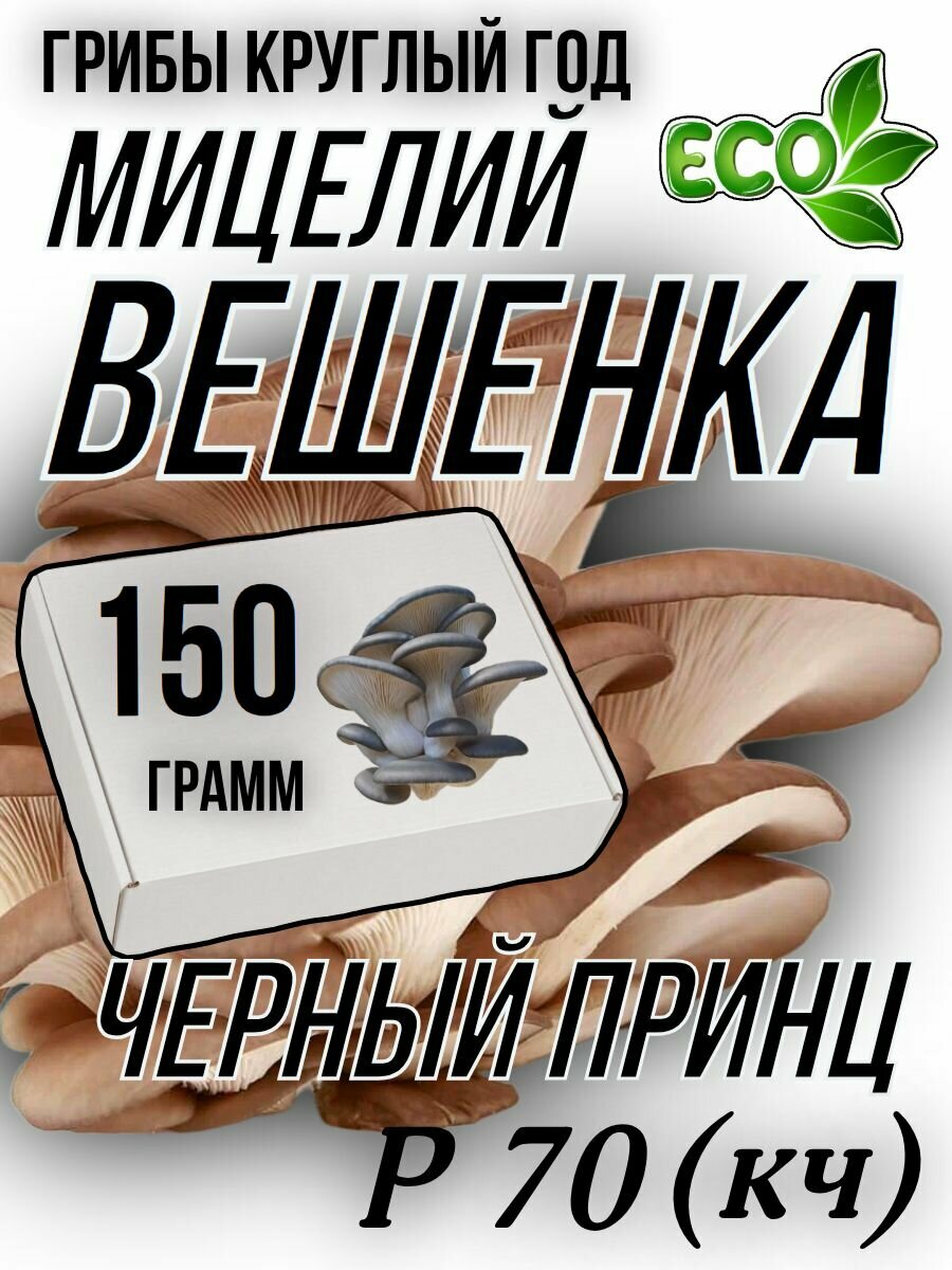 Семена Вешенка Черный принц 150 гр.