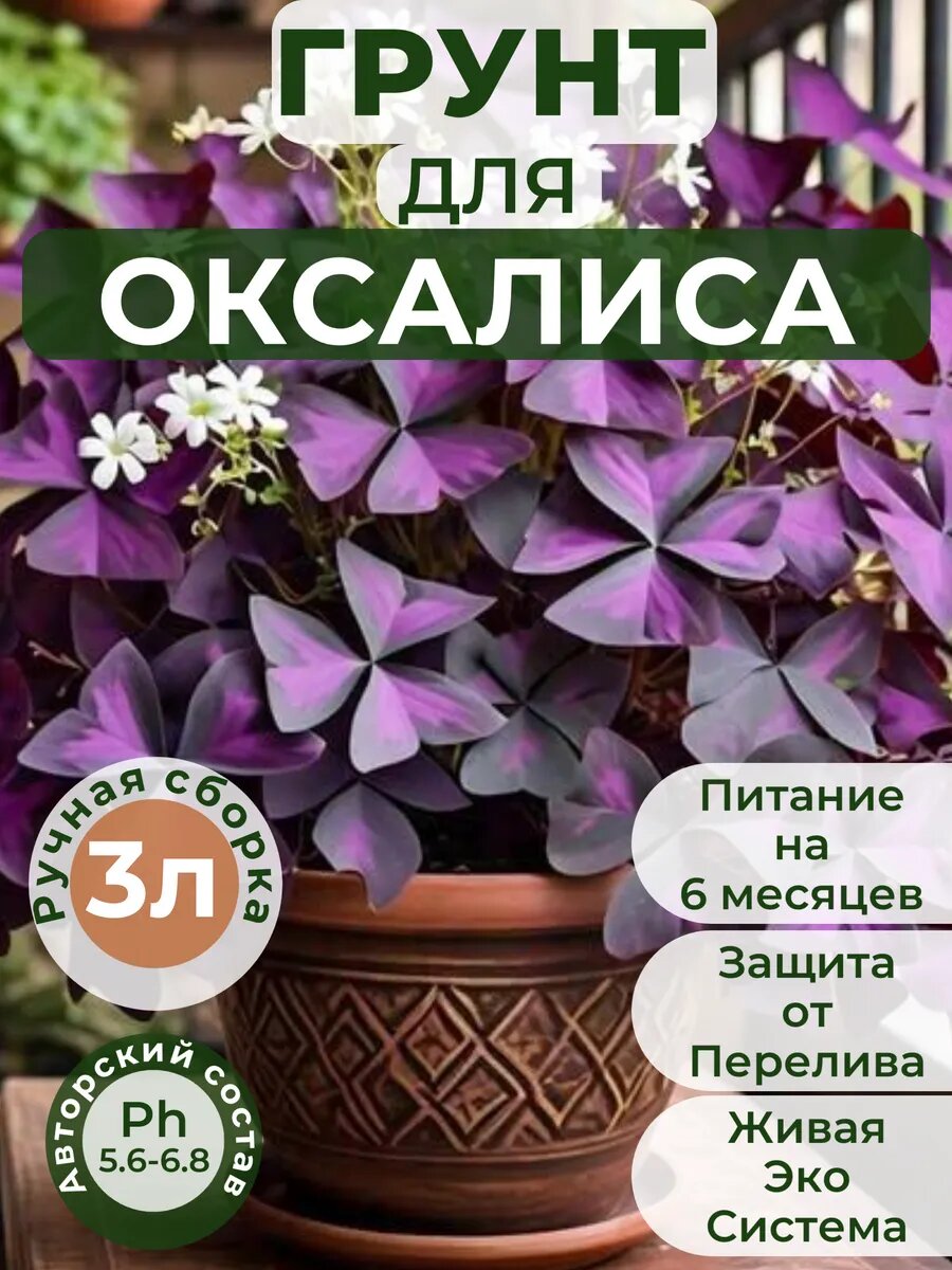 Готовый авторский грунт для Оскалиса (Кислицы), премиум 3 л