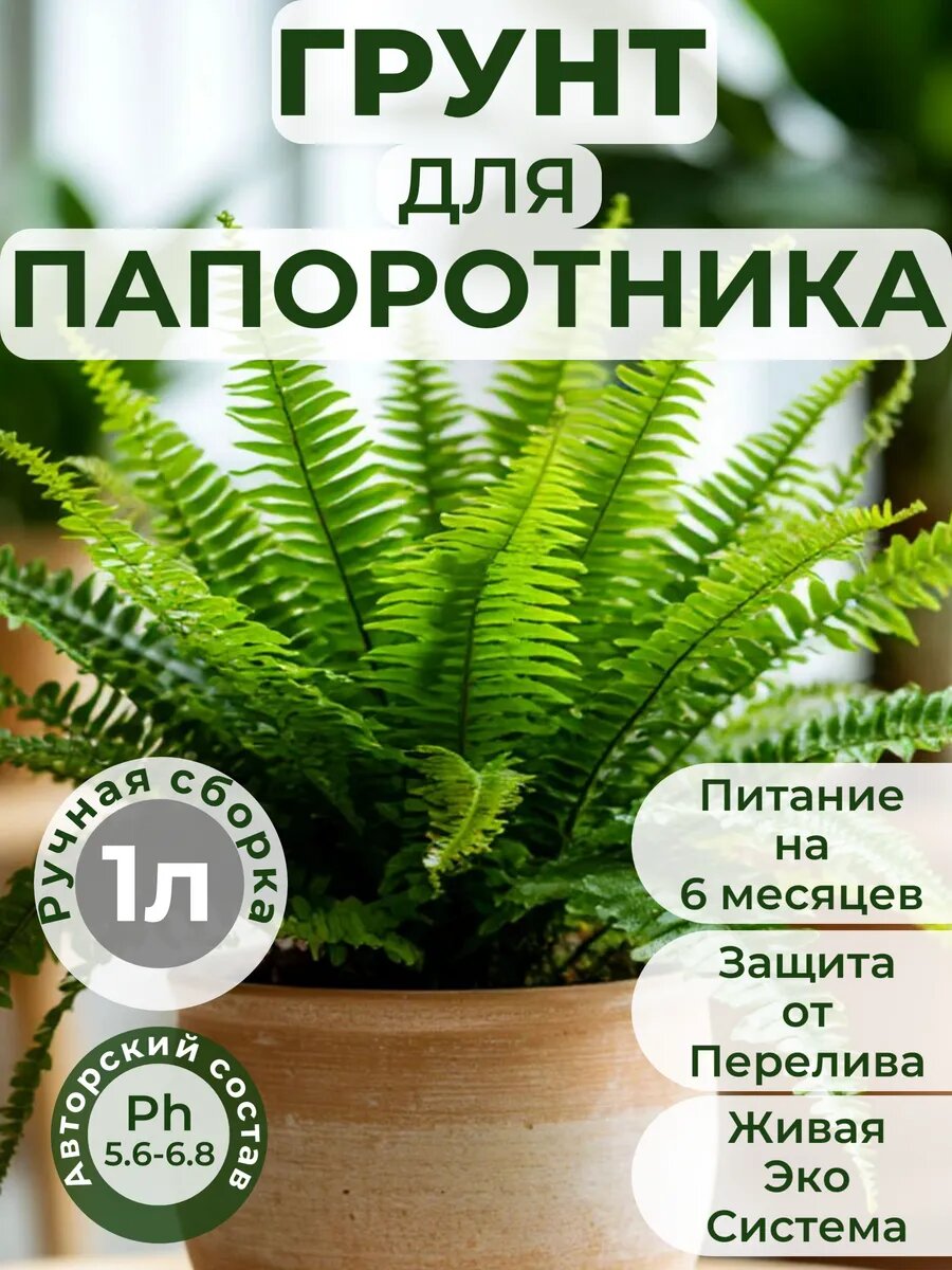 Готовый авторский грунт для Папоротника, премиум 1 л