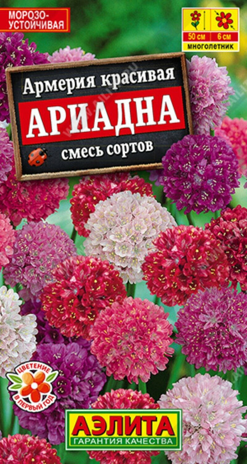 Семена Армерия Ариадна смесь (0,03 г), Агрофирма Аэлита, многолетник