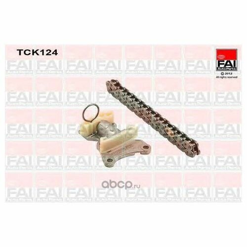 Комплект цепи грм с натяжителем и кронштейном Fai tck124