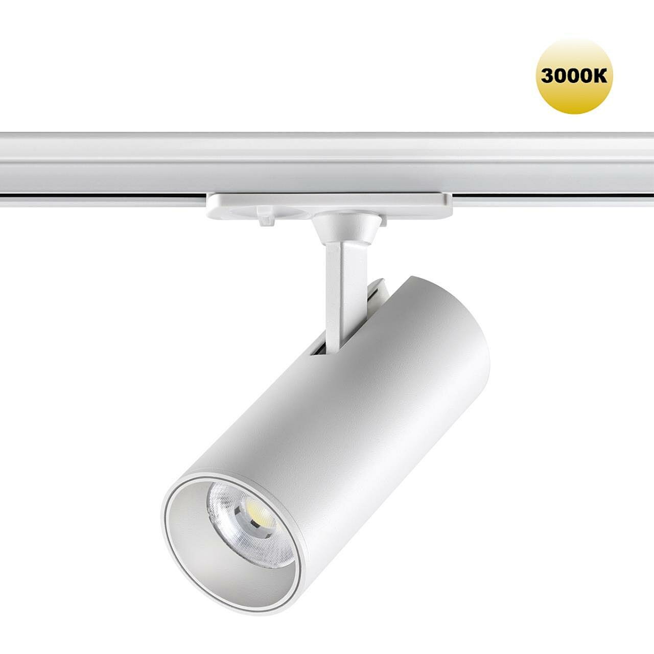 Трековый светильник Novotech Selene 359159