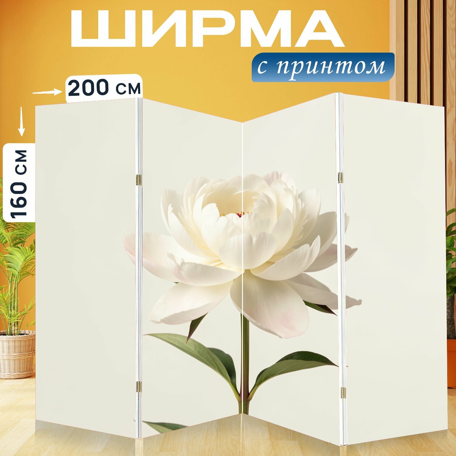Ширма "Белый цветок с зелеными листьями. Нежный крупный бутон в светлых кремово-белых оттенках на тонком." перегородка для зонирования комнаты с принтом 200x160 см. на холсте
