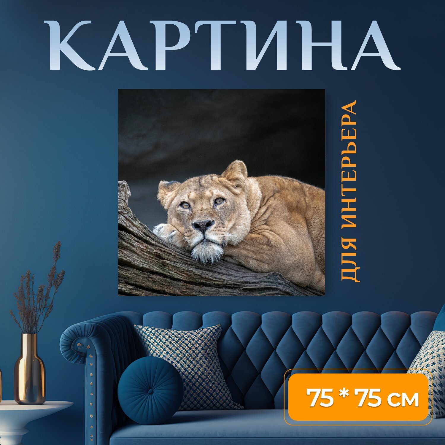 Картина на холсте "Лев, львица, дикая природа" на подрамнике 75х75 см. для интерьера