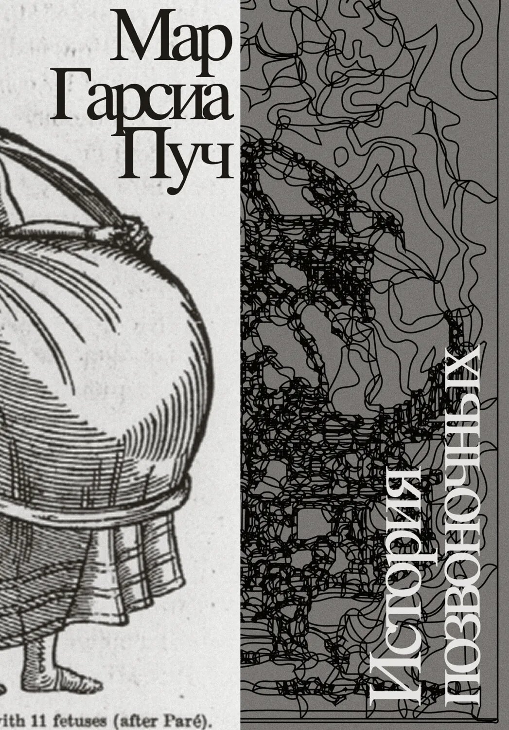 История позвоночных [Цифровая книга]
