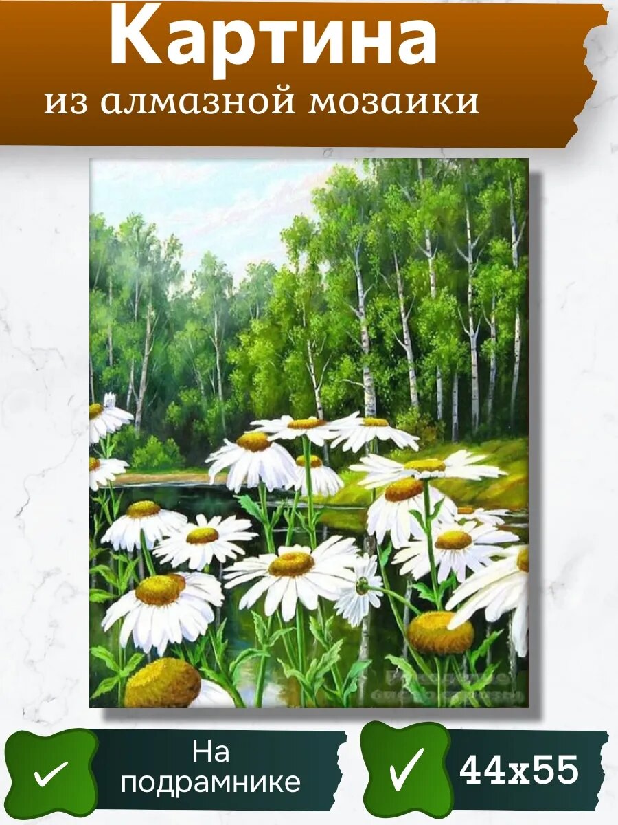 Алмазная мозаика на подрамнике 44х55