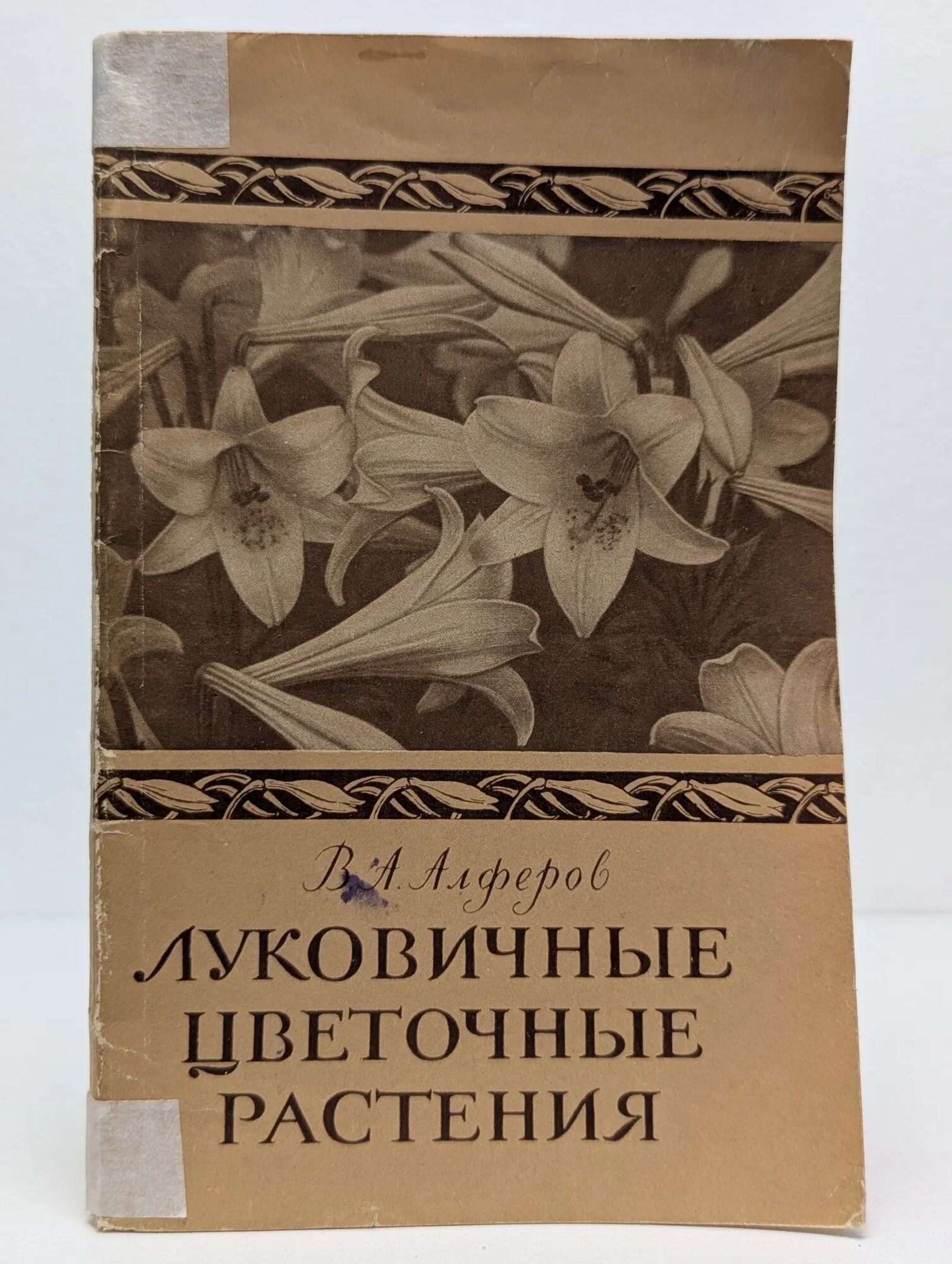 Луковичные цветочные растения Алферов Валерий Анатольевич 1956