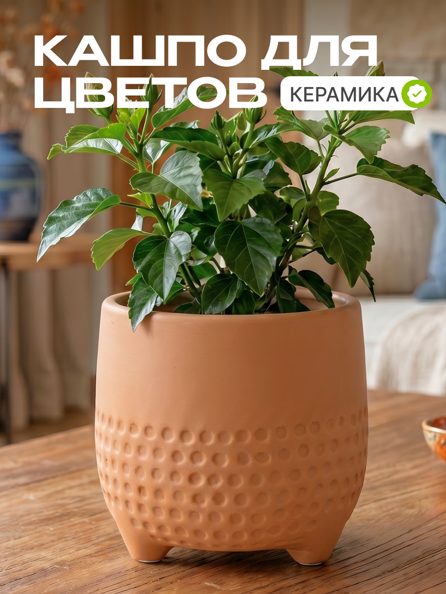 Кашпо декоративное для цветов, комнатных растений и сухоцветов Оранжевое, керамическое, круглое, фигурное, для дома