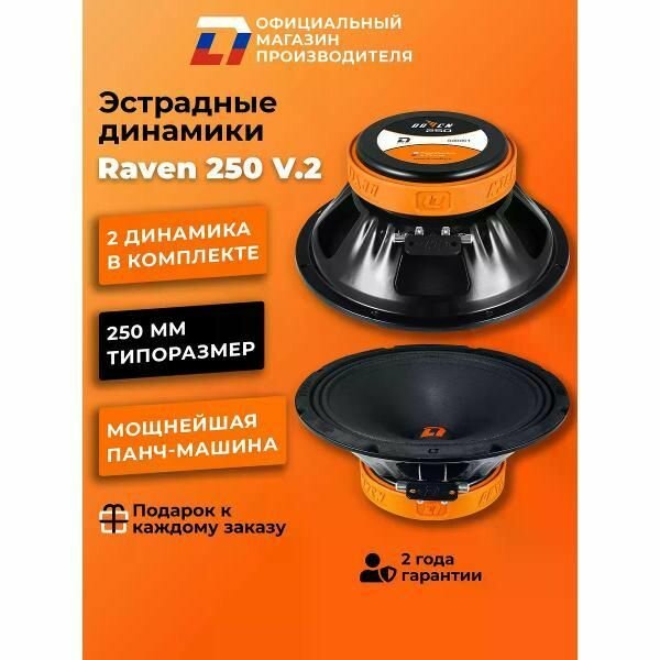 Автомобильные колонки DL Audio Raven 250 V.2