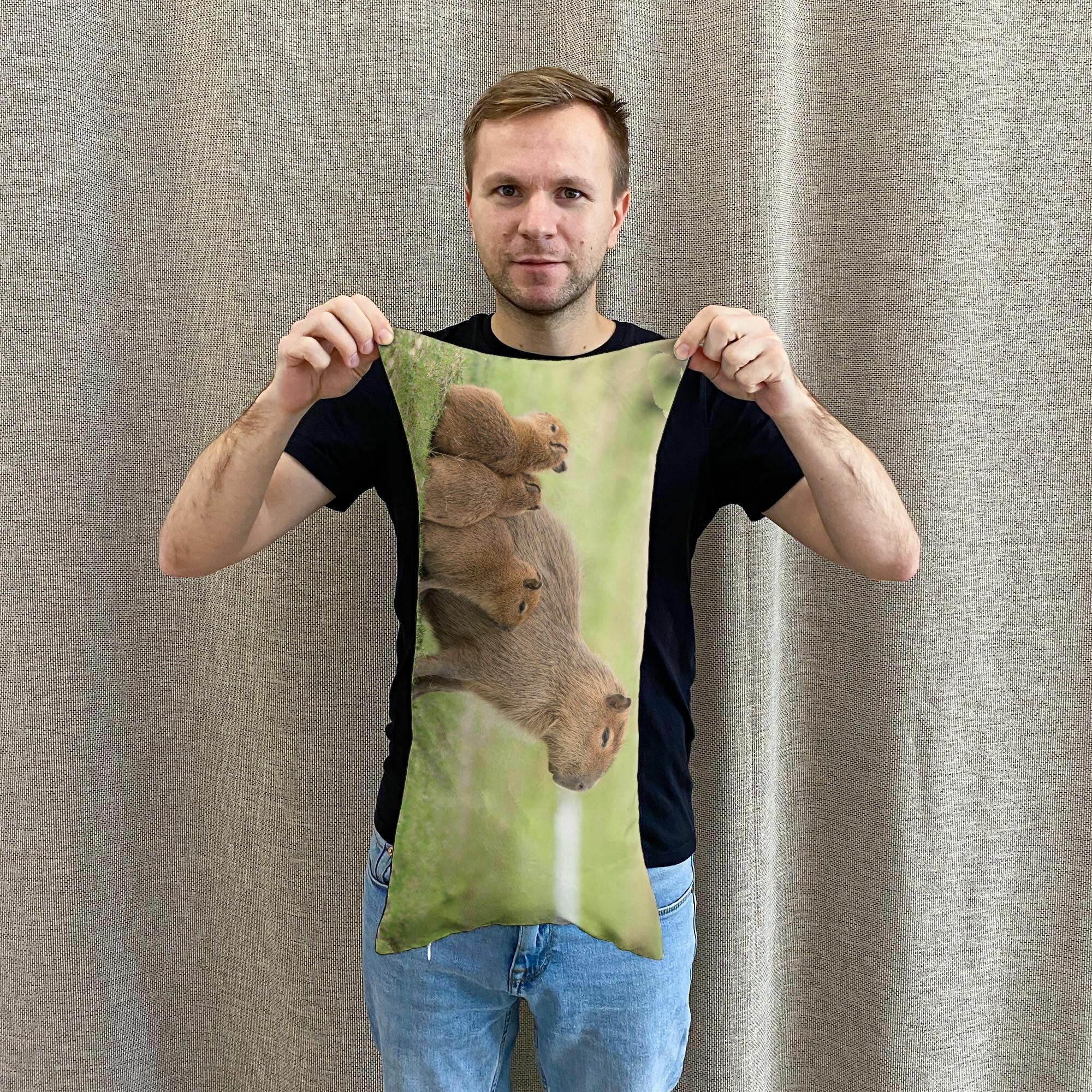 Подушка дакимакура Капибара 30x60 см