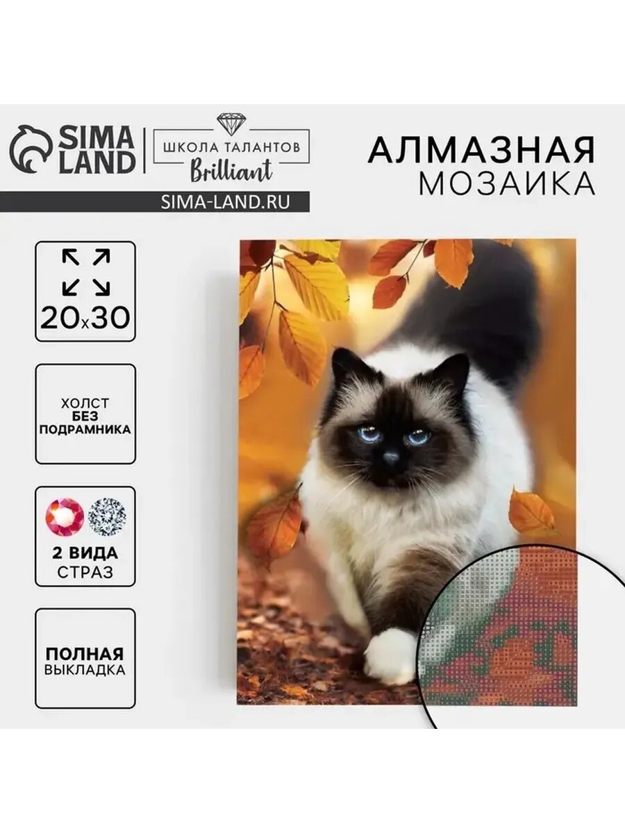 Завораживающая картина с кристаллами "Кошка"
