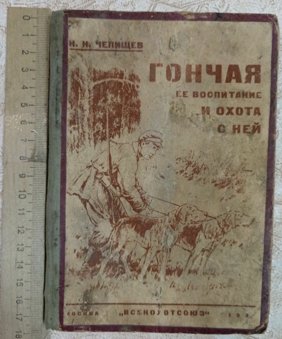 Гончая. Ее воспитание и охота с ней