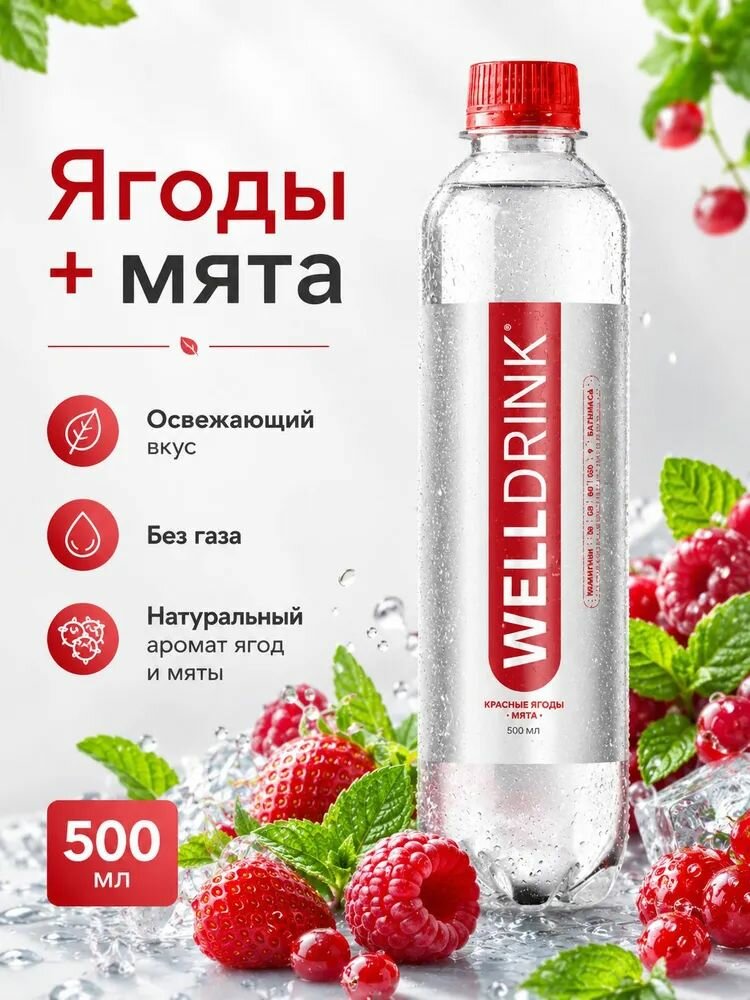 Напиток WellDrink Красные ягоды-мята 500