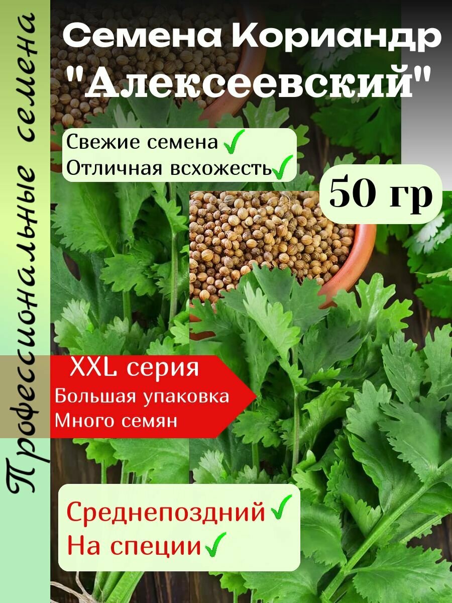 Семена Кориандр Алексеевский Среднепоздний 50гр