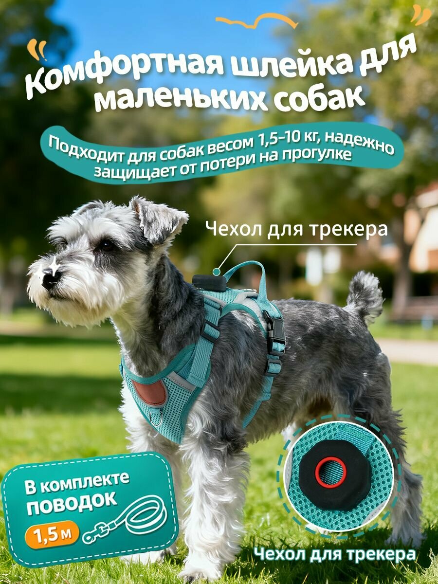 Шлейка для собак мелких пород с карманом для AirTag, анатомическая светоотражающая шлейка-жилет для щенков, с поводком 1.5м