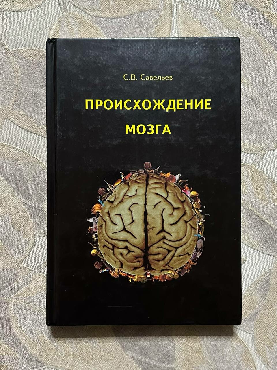 Происхождение мозга