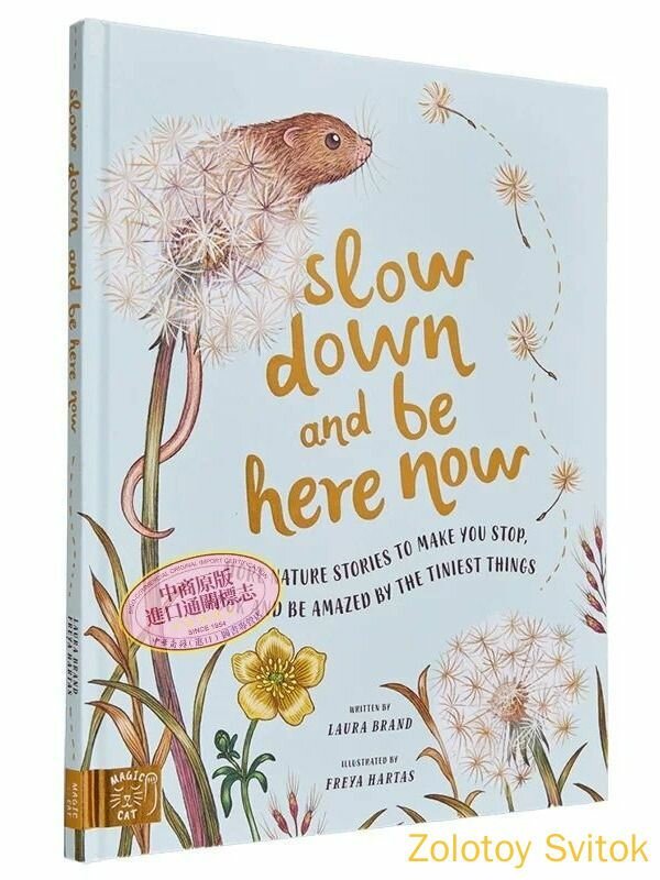 Книга "Slow Down and Be Here Now" Freya Hartas, энциклопедия, твердый переплет
