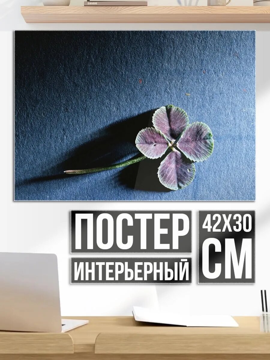 Плакат постер Четырехлистный клевер