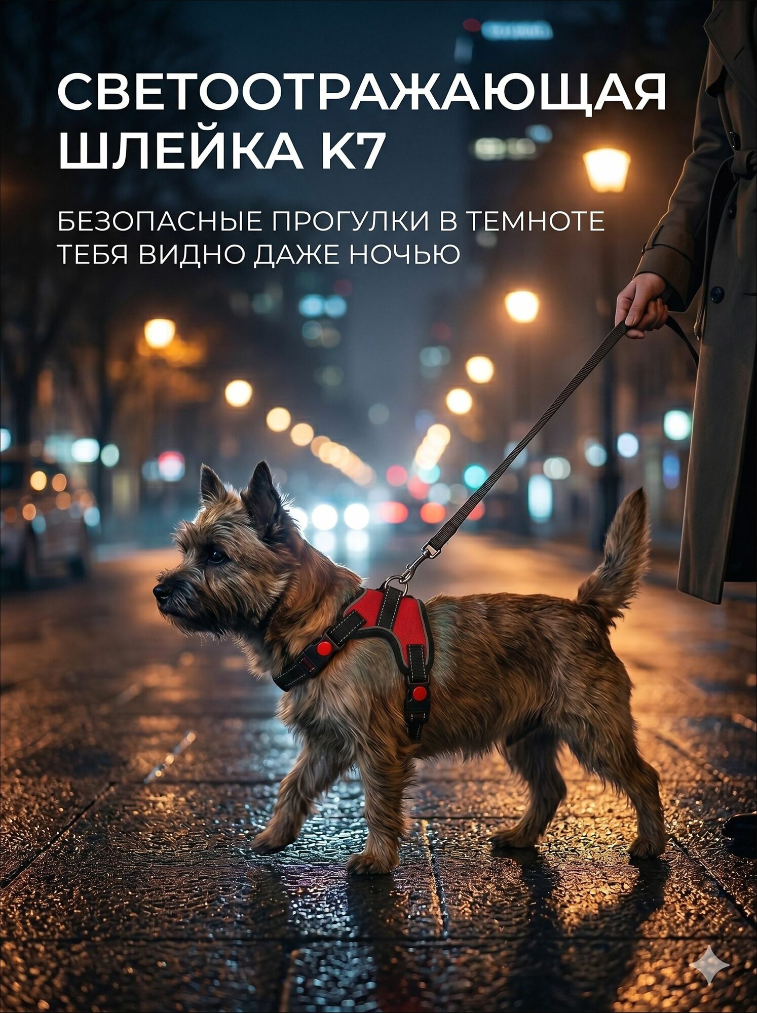 Шлейка для собак мелких и средних пород, размер S, ОГ 44-55 см, вес 5-9 кг, светоотражающая