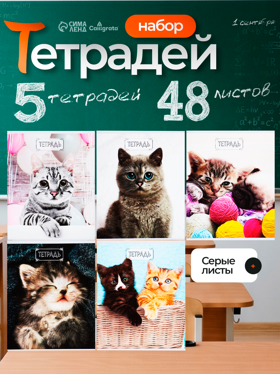 Комплект тетрадей Calligrata "Милые котята", А5, клетка, 48 л, 5 шт