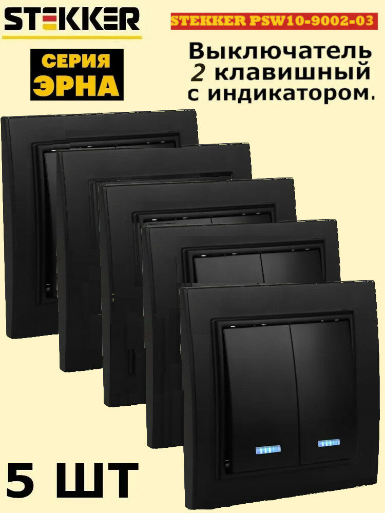 Выключатель двухклавишный c индикатором 250V 10А серия Эрна 5 штук PSW10-9002-03 черный STEKKER 39471/5